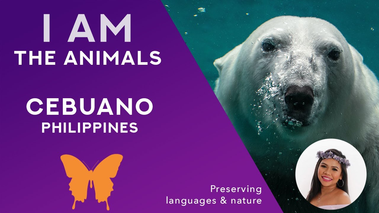 I AM the Animals - cebuano - Philippines - YouTube
