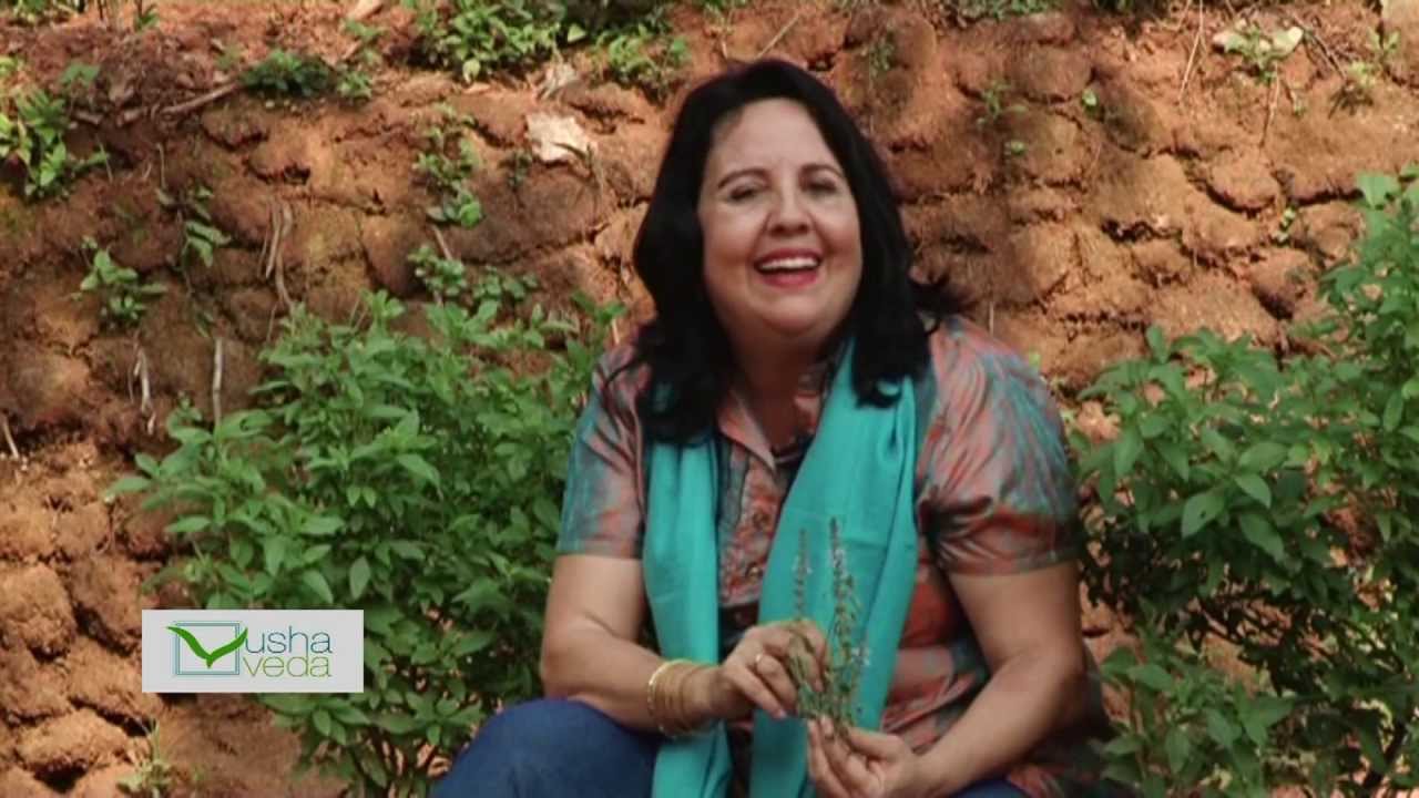 Aromathérapie - Le Basilic - Lydia Bosson - YouTube