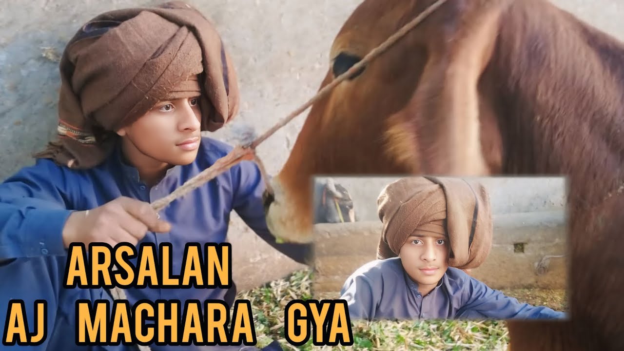 arsalni ajj machar gya 😂😂bara Maza aye Yar,🤪|| request hai bhai sun 😆😆😆 ...