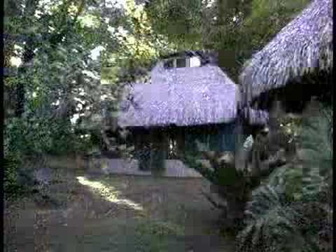 Biotopo Chocon Machacas-Livingston - YouTube