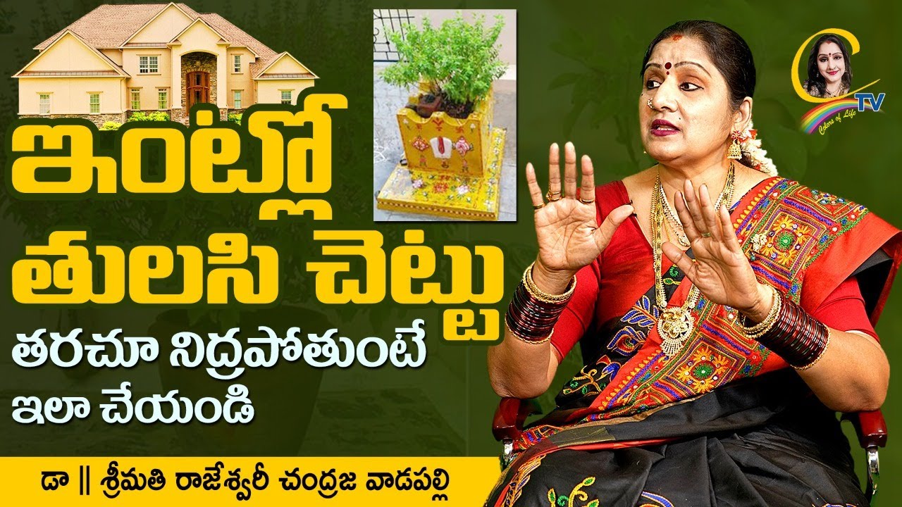 ఇంట్లో తులసి చెట్టు తరచూ నిద్రపోతుంటే ఇలా చేయండి | Tulasi chettu ...