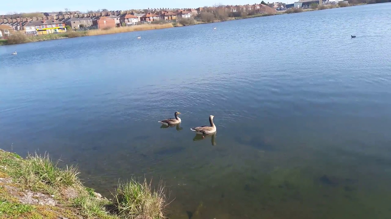 Ormsgill Reservoir 2019 - YouTube
