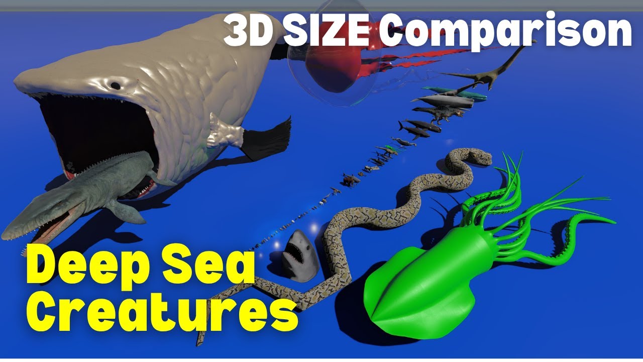 🦑 Deep Sea Creatures You’ve NEVER Seen Before! 🐠 Size Comparison from ...