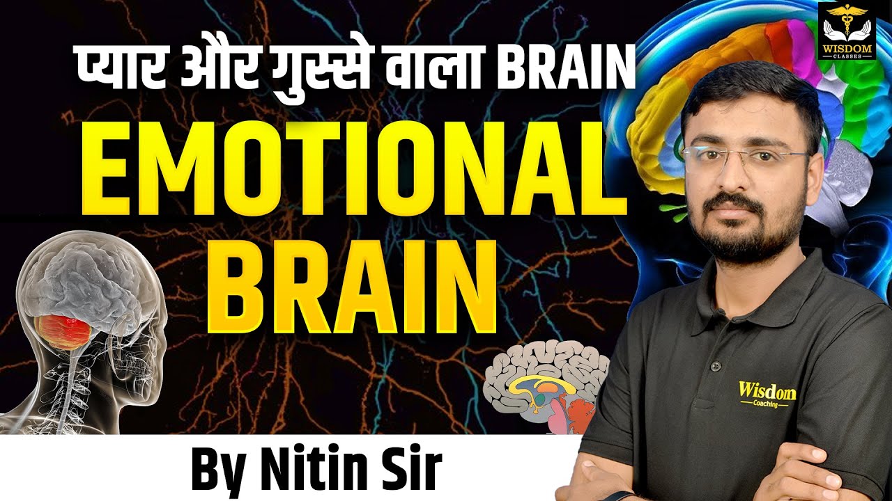 EMOTIONAL BRAIN | प्यार और गुस्से वाला ब्रेन | HOW OUR BRAINS PROCESS ...