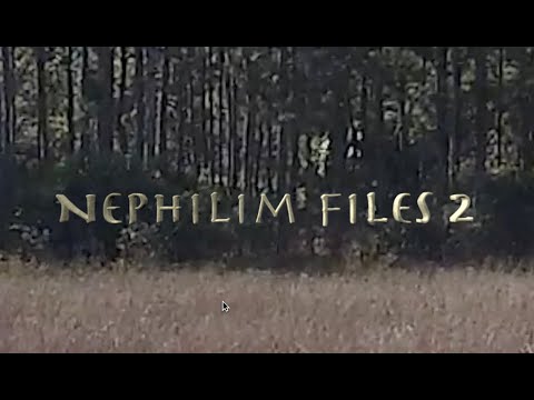 Nephilim Files 2 Florida Giants Revealed Hiding In Diffusion - YouTube