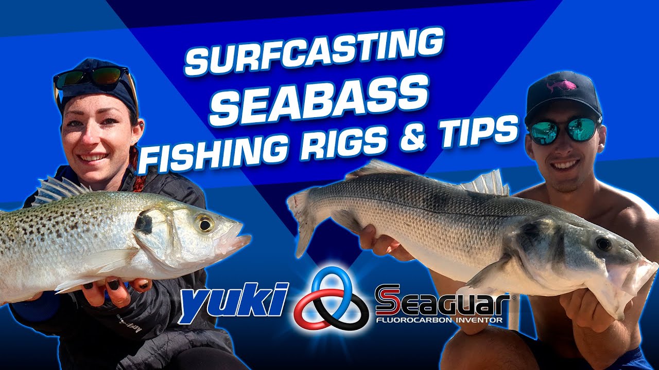 Surfcasting rigs for fishing BIG seabass - YouTube