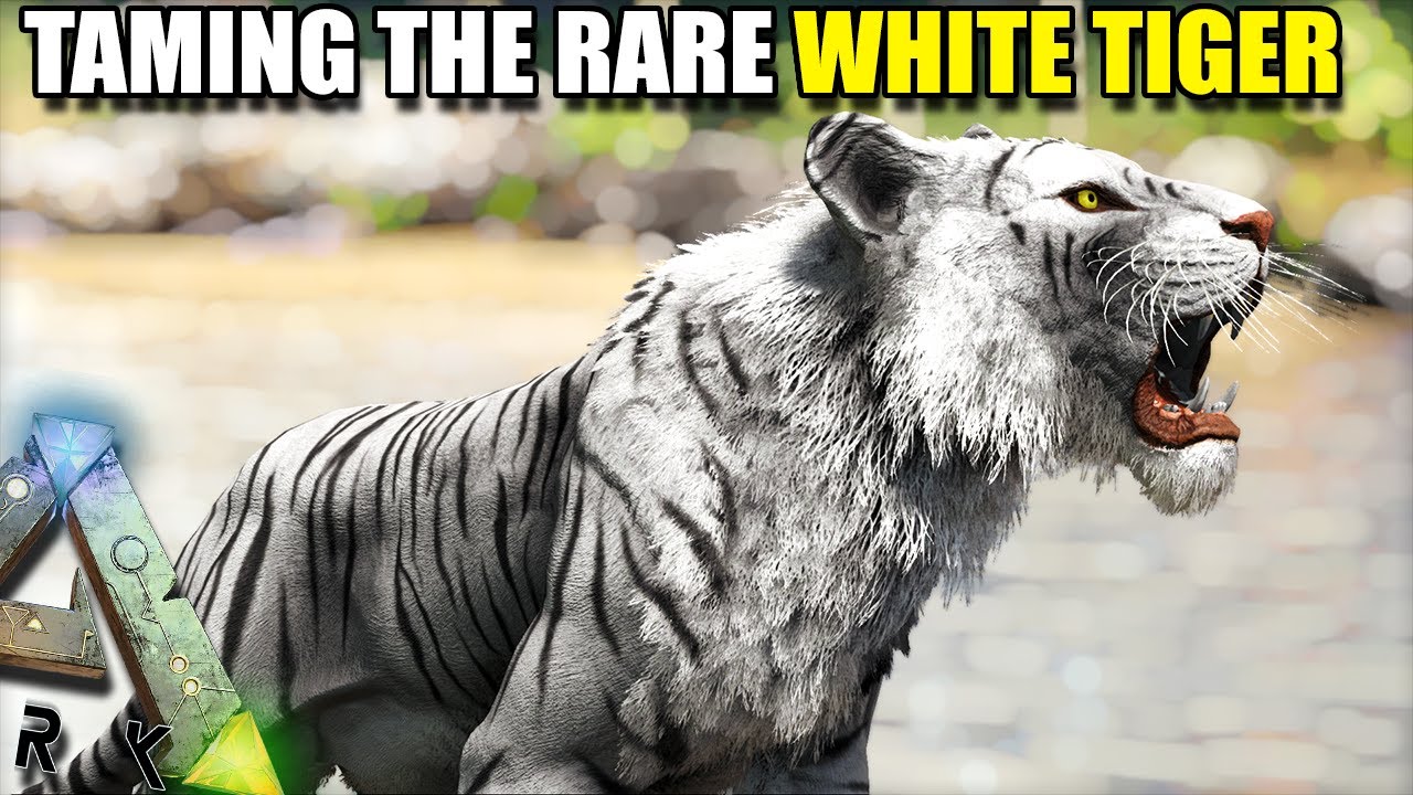 TAMING THE RARE WHITE TIGER | MYTHICAL BEASTS | ARK SURVIVAL EVOLVED ...