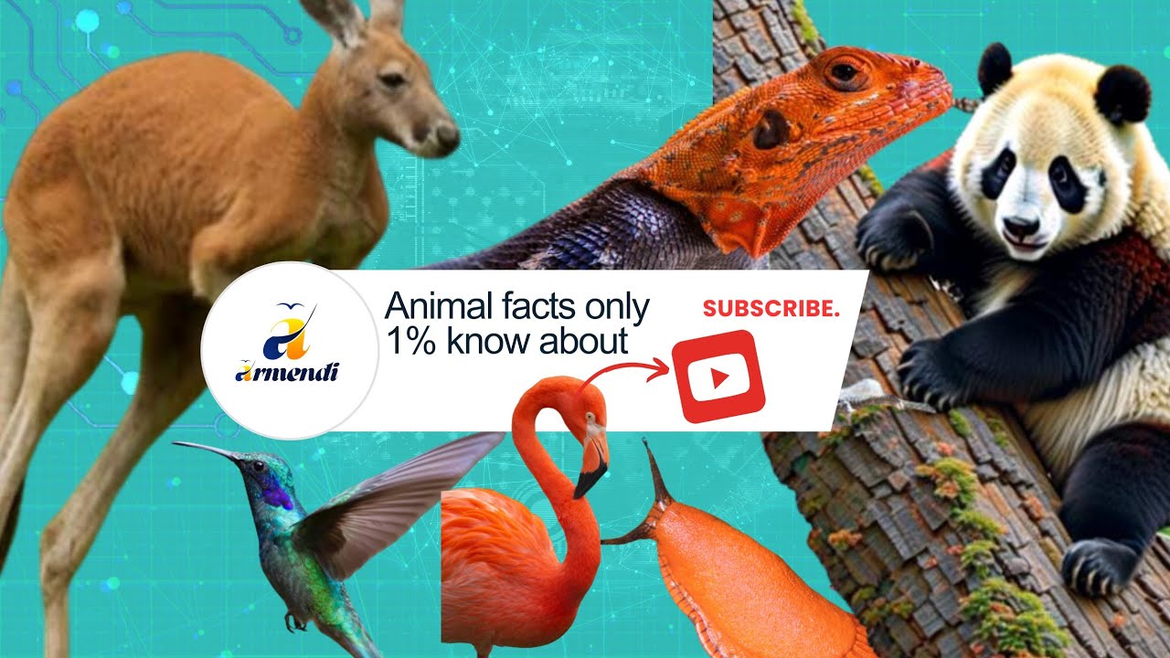 Animals facts only 1% know about. - YouTube
