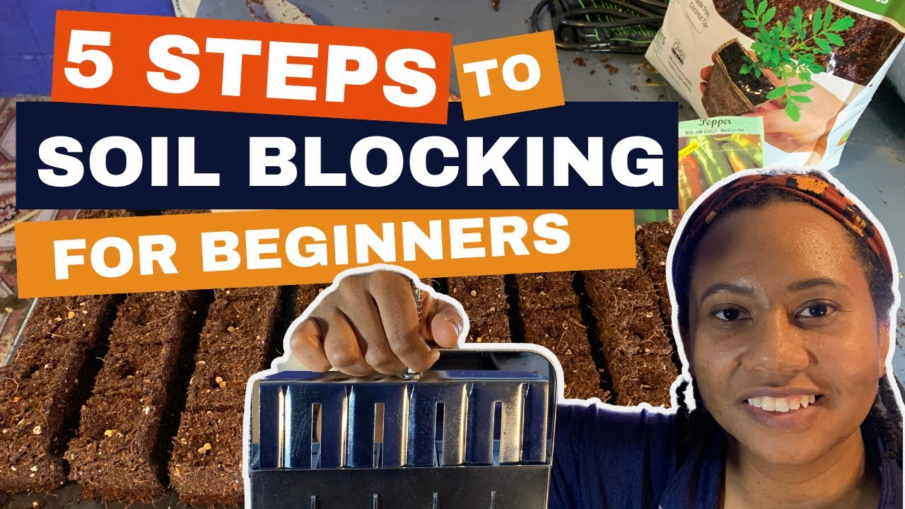 5 Steps to Soil-Blocking for Beginners: Eco-Friendly Seed Starting! 🌱 ...