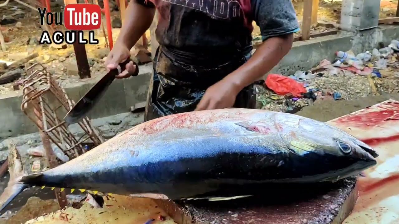 Amazing cutting skills,,, potong ikan tuna segar berat 20kg untuk jual ...