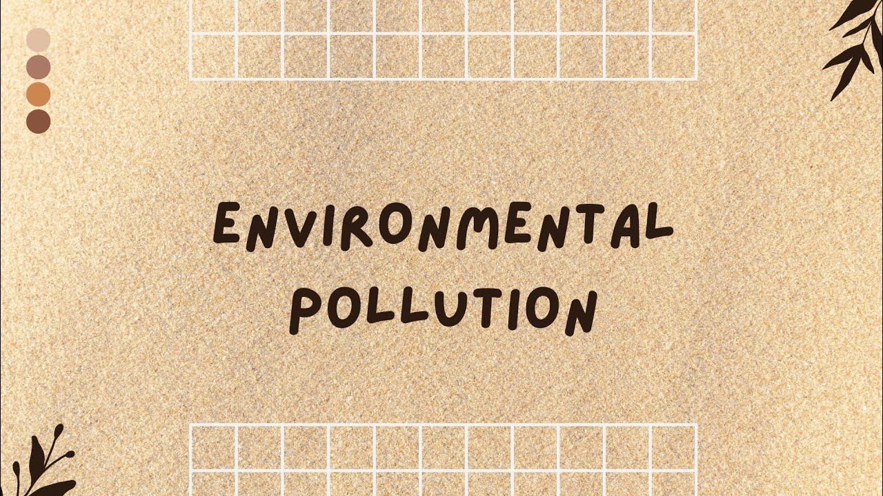 BIP Vlog || Enviromental Pollution || Sisilia Dela Anggraini ...