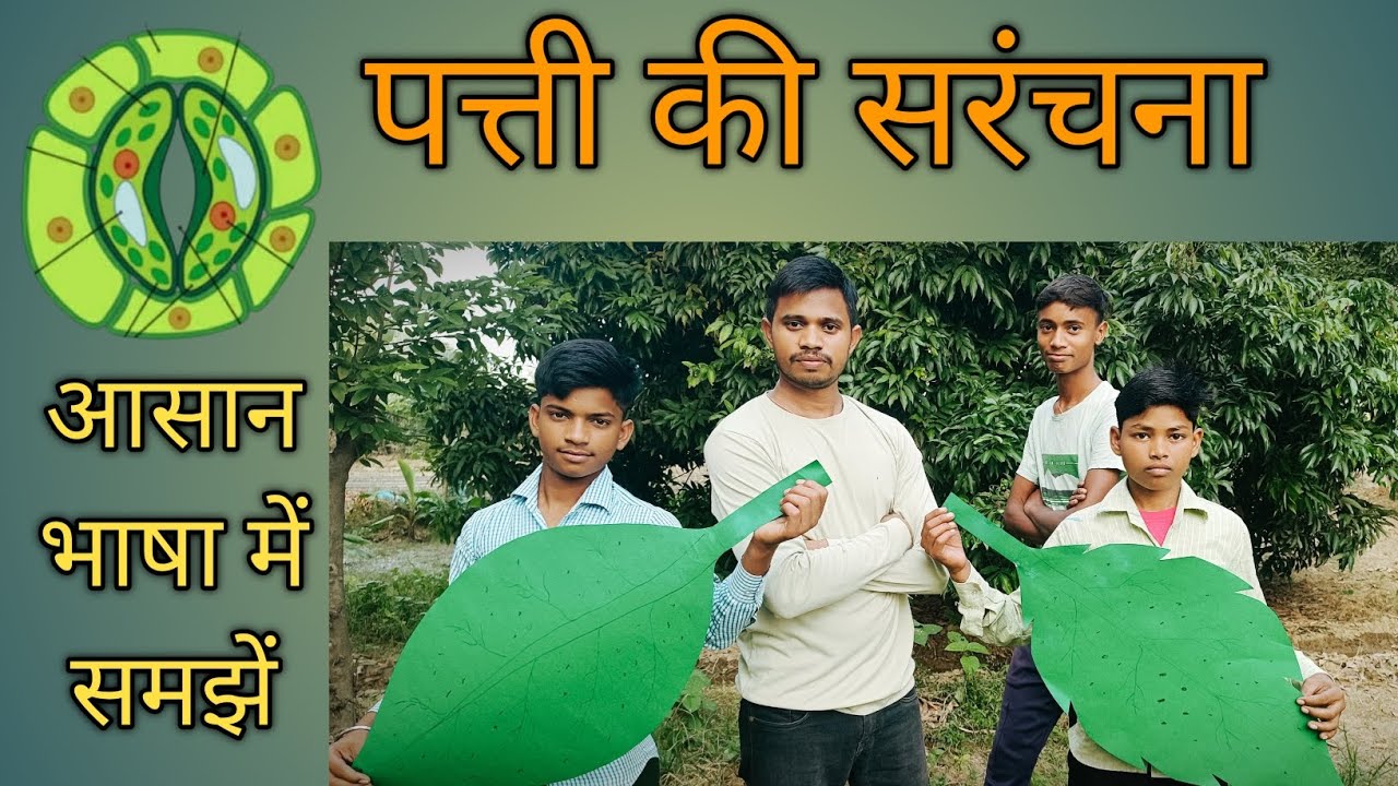 #biology पत्ती।Leaf।। पत्ती की संरचना। पत्ती के प्रकार।parts of leaf ...