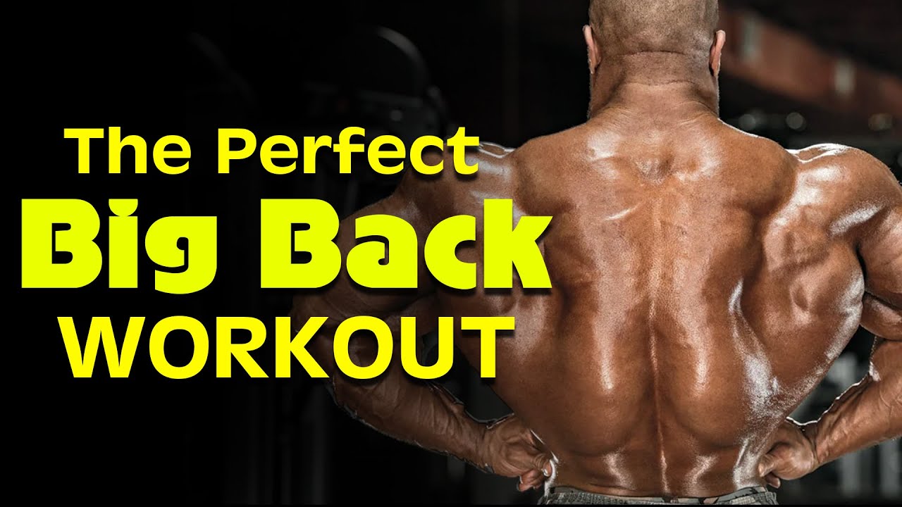 Top Upper, Middle & Lower Back Exercises to Grow Bigger Back - Killer ...