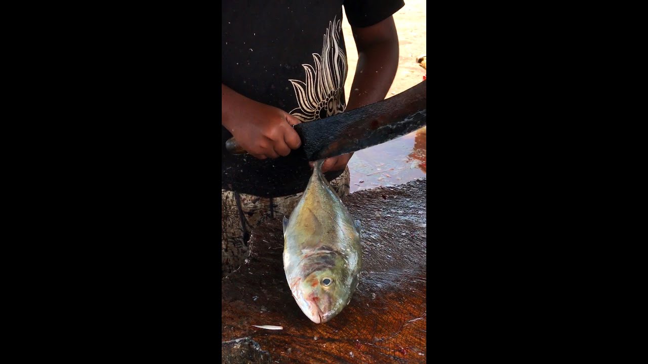 Fish cutting fast | Fish Cutting Skills (Ep - 14) - YouTube