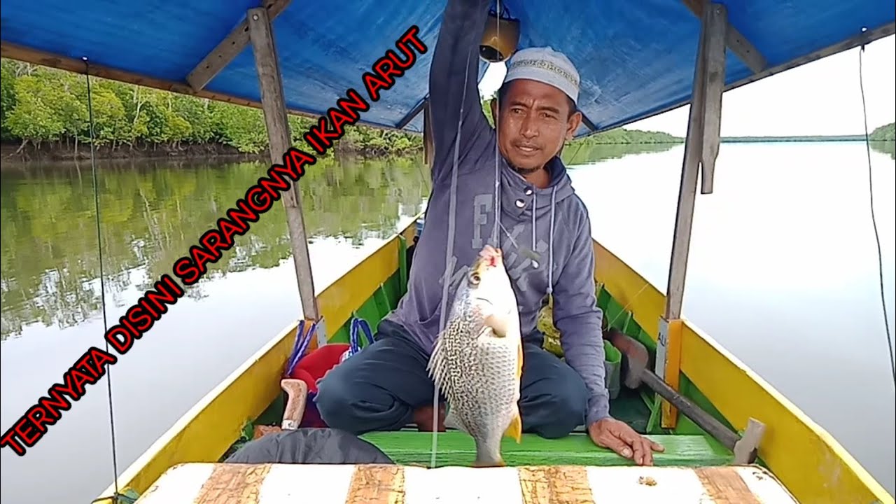 HUTAN MANGROVE !! TEMPATNYA SPOT IKAN ARUT DAN MERAH TOMPEL, HITUNGAN ...