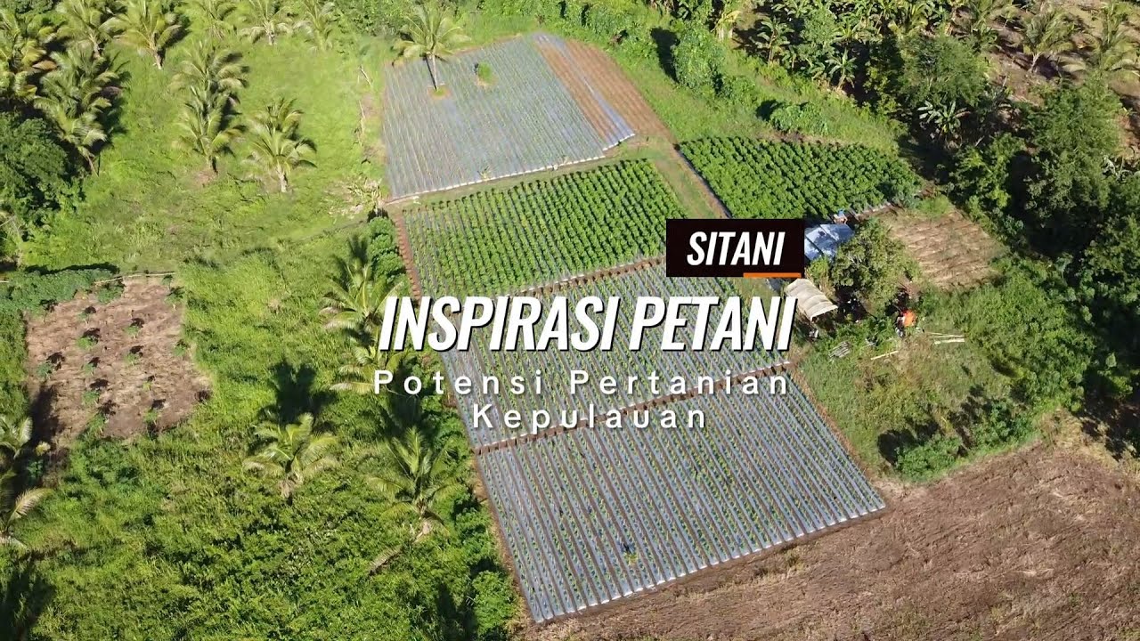SITANI Inspirasi Petani - Potensi Pertanian Kepulauan - Marfanuel ...