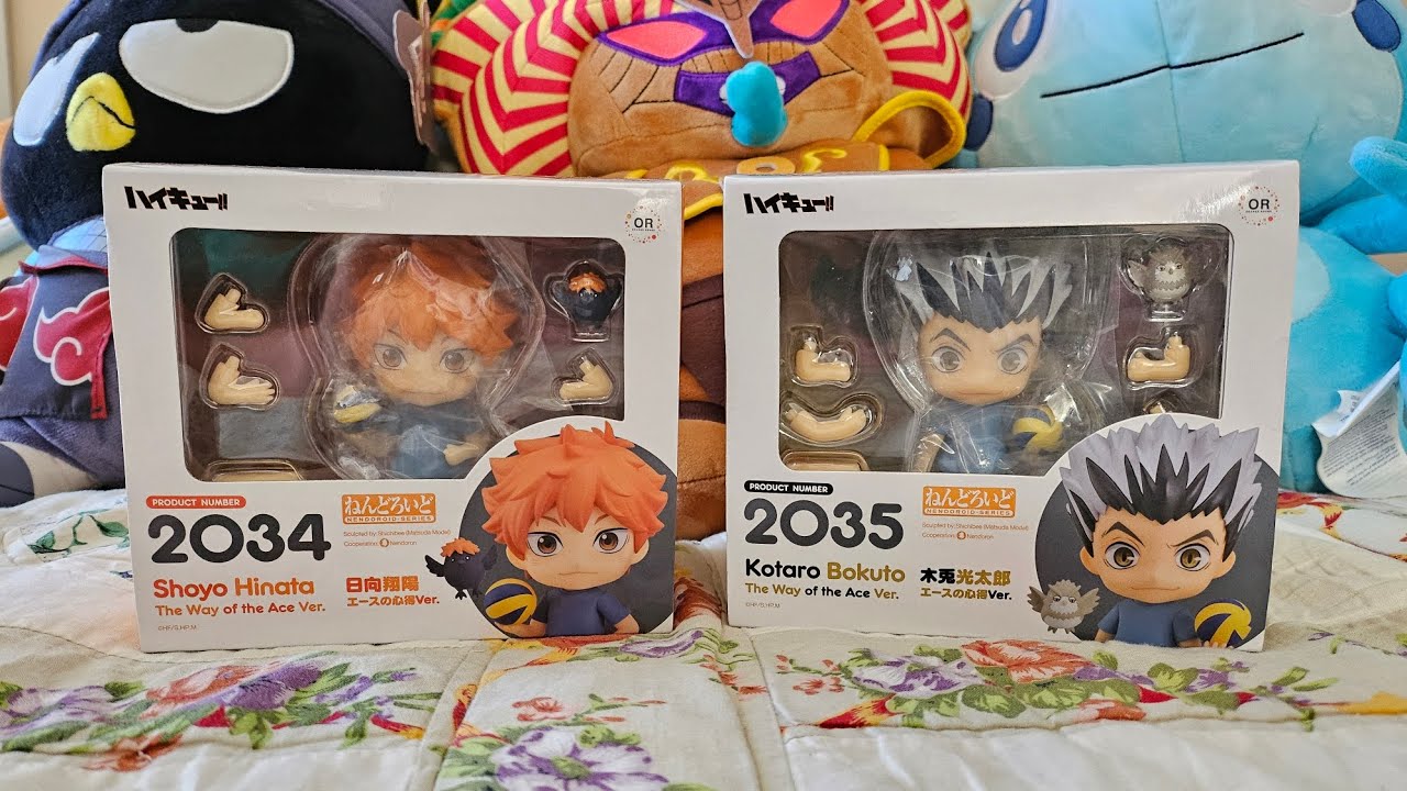 Hinata Shoyo & Bokuto Kotaro • Haikyuu Way of the Ace Convention ...