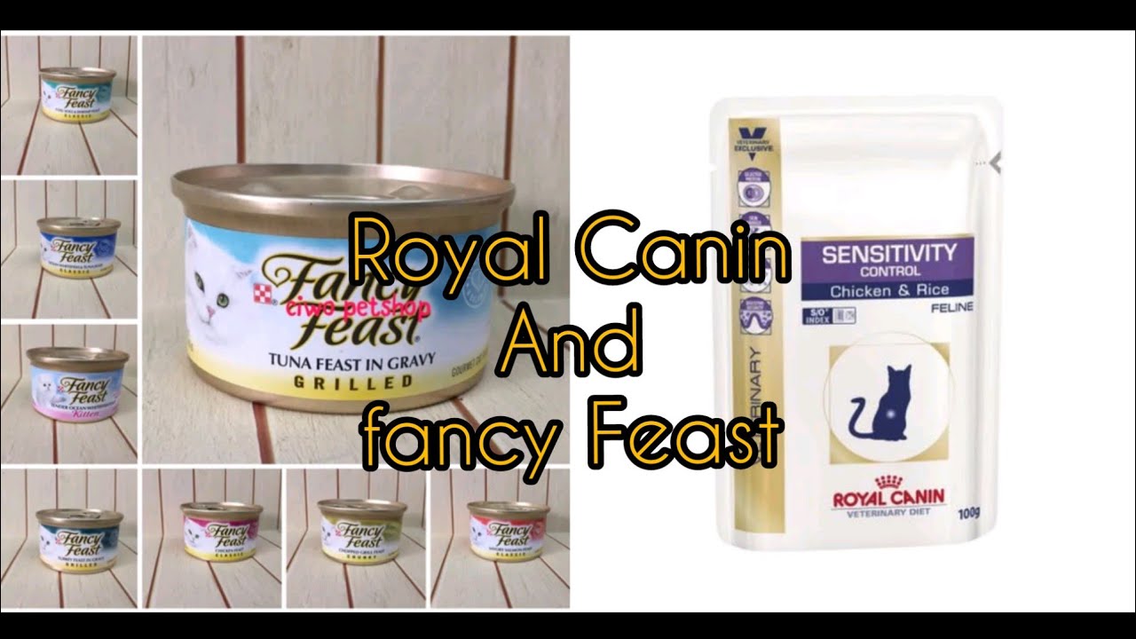 Cara Meracik Makanan Kucing Royal Canin Dan Fancy Feast Rasa TUNA FEAST ...