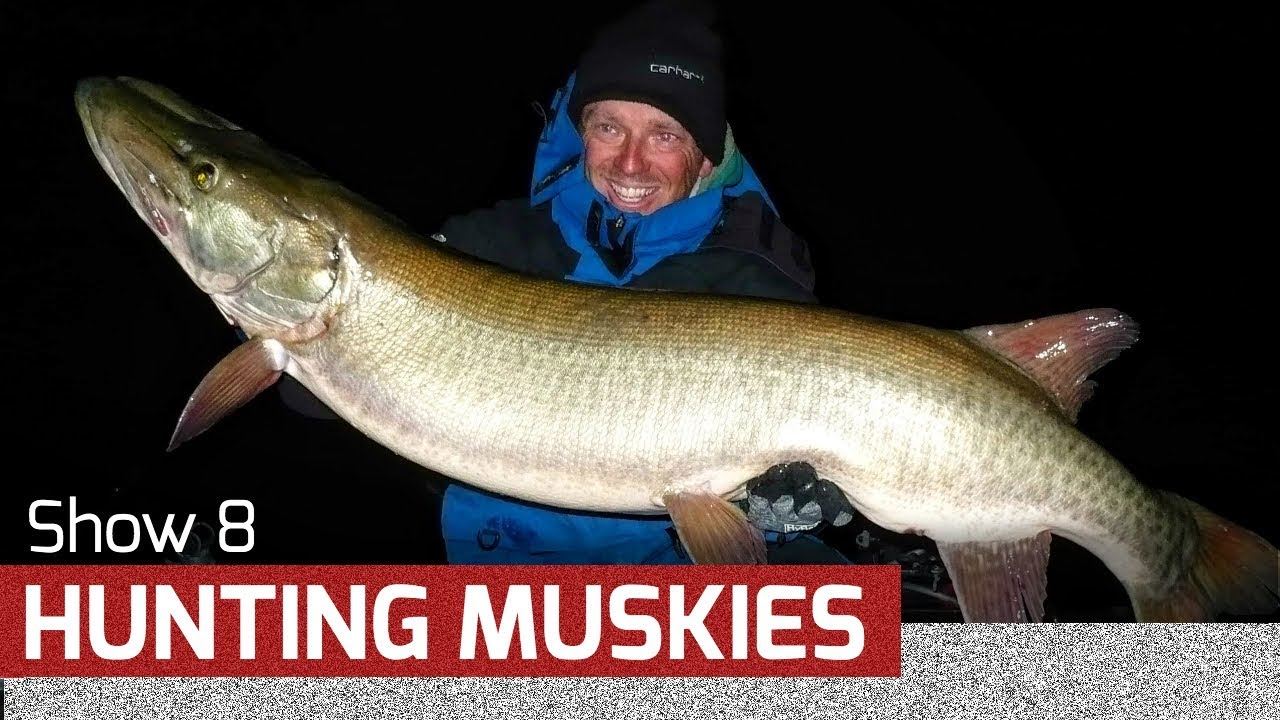 Hunting for Muskies – AnglingBuzz TV - YouTube