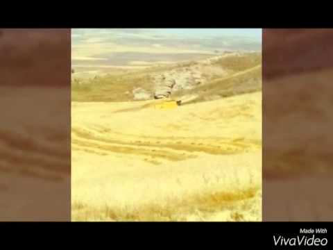 Aydın Hasat