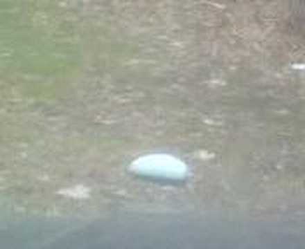 drano bomb 2 liter - YouTube