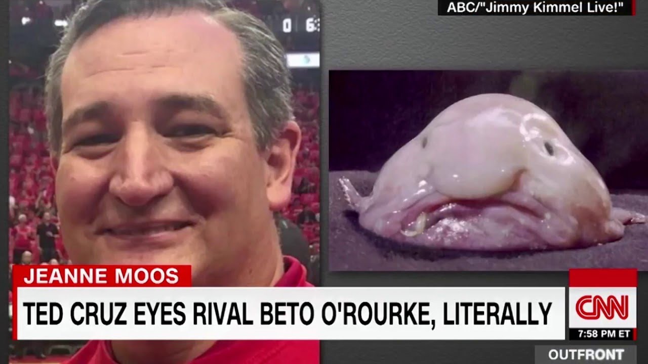 Ted Cruz Airplane Photo Going Viral - YouTube