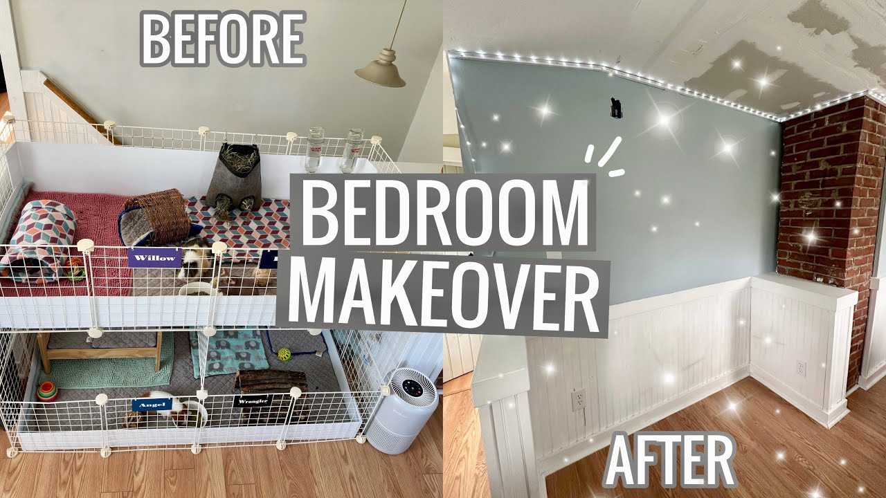 Bedroom Makeover : Building a Wall for my Pet Room - YouTube