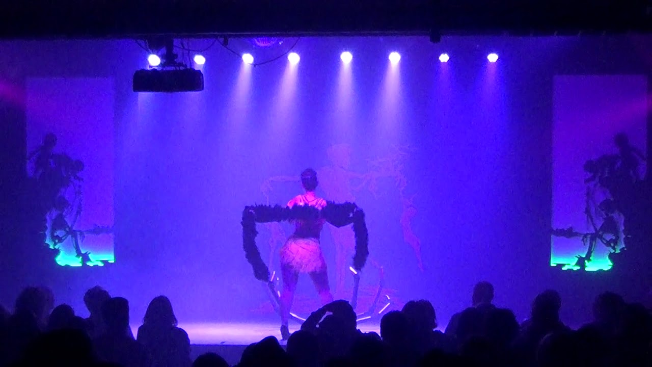 Orb Weaver Spider Burlesque - Juniper Rose - YouTube