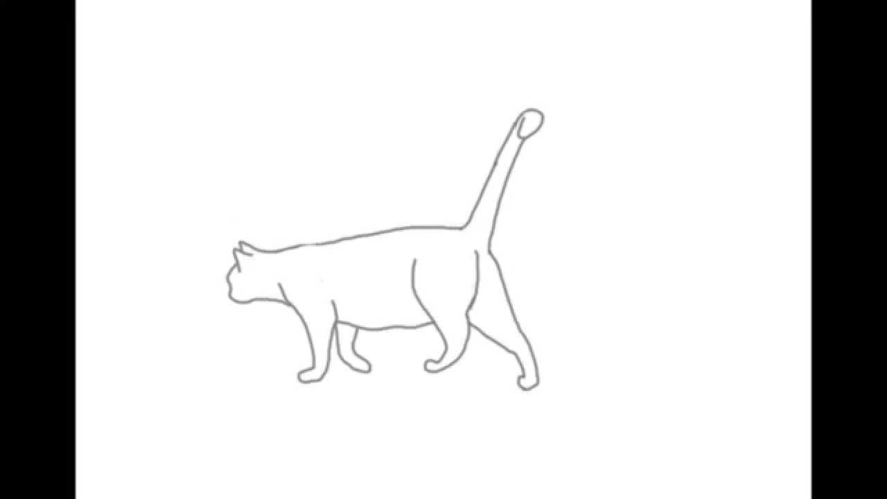 Cat walk cycle animation - YouTube