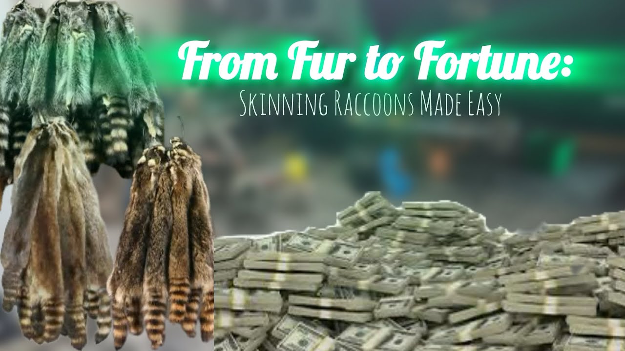 Quick & Easy Visual Guide: How to Skin a Raccoon (Graphic Content ...
