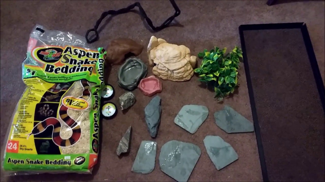 How to set up a Corn snake Vivarium - YouTube