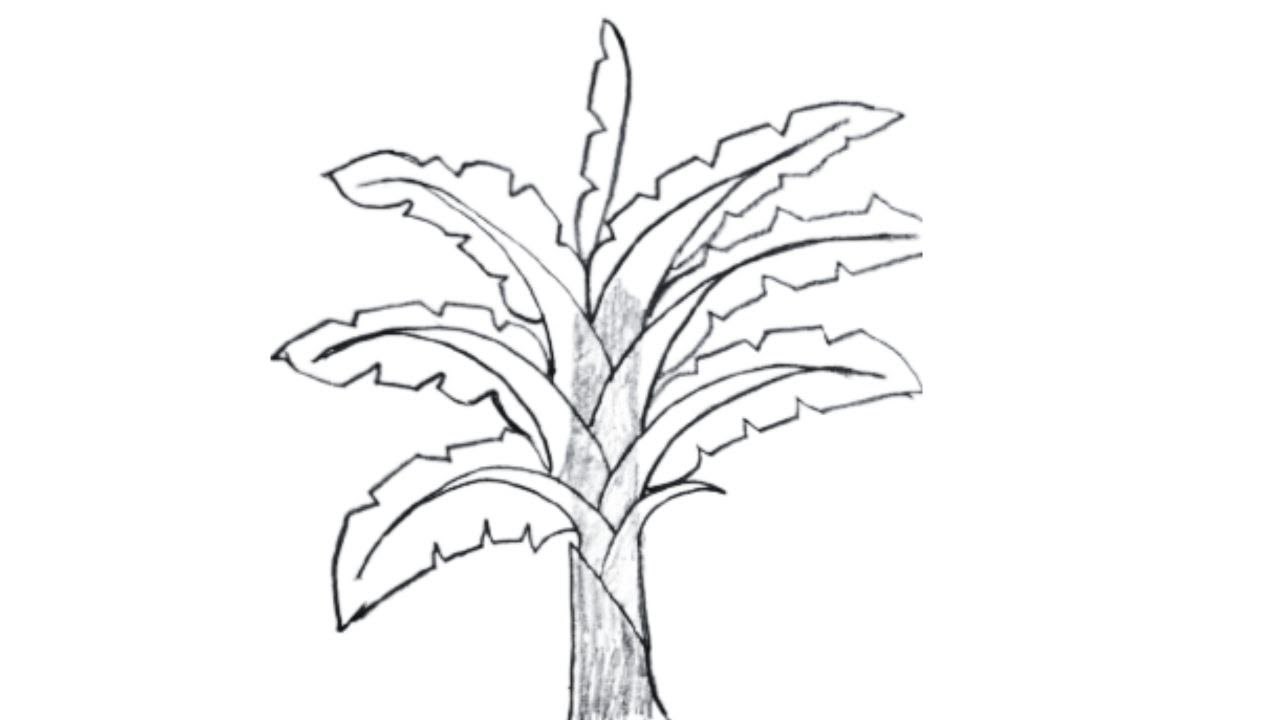 Easy banana tree drawing| how to draw banana gach with Painting and ...