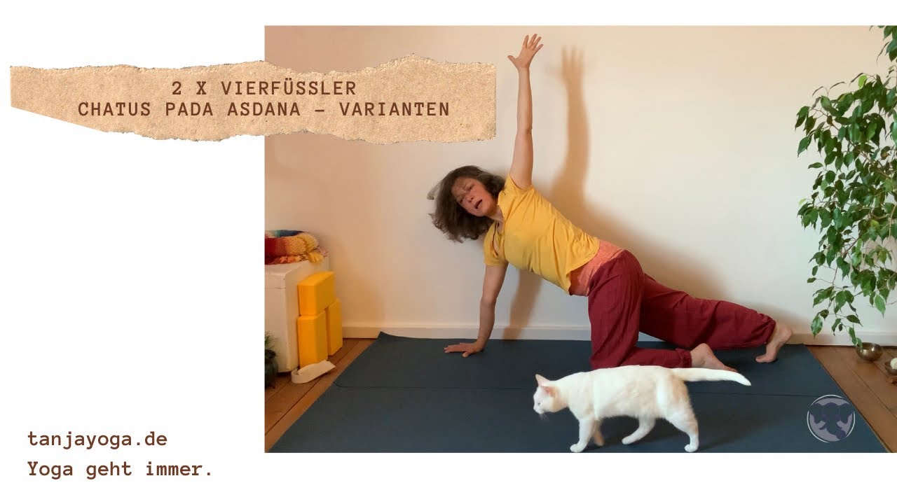 9Min Yoga - chatus pada asana - chakravakasana - Varianten im ...