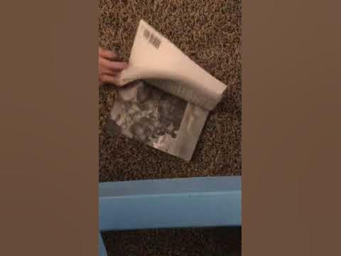 Ranger in Time (D-day battle on the beach) 4+only - YouTube