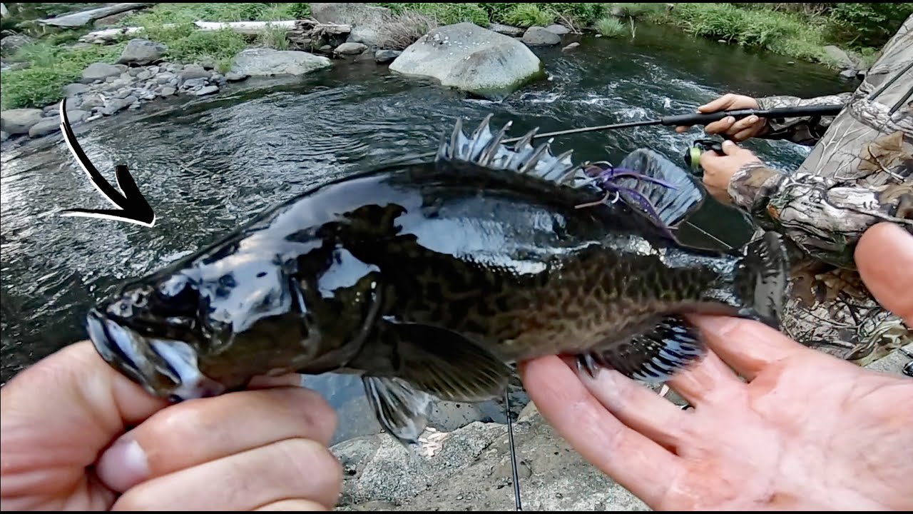 FISH STOCKING | Behind The Scenes. - YouTube
