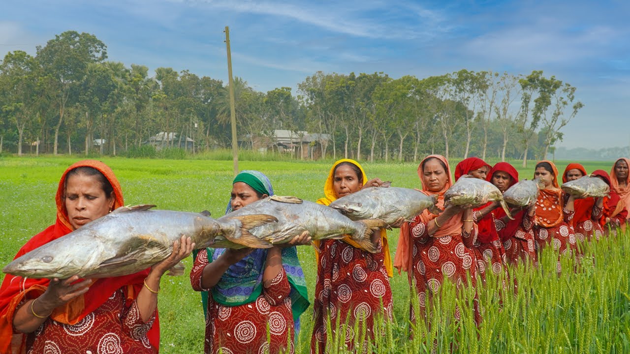 154 Pounds Rita Fish Cutting, Cooking & Eating in Village - Delicious ...