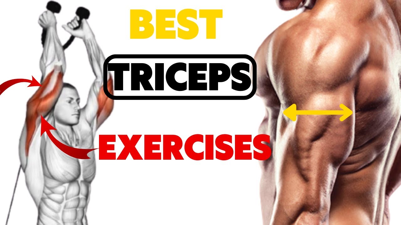 10 Best Triceps Workout For All Heads/ Hiit All 3 Heads For Big Arms ...