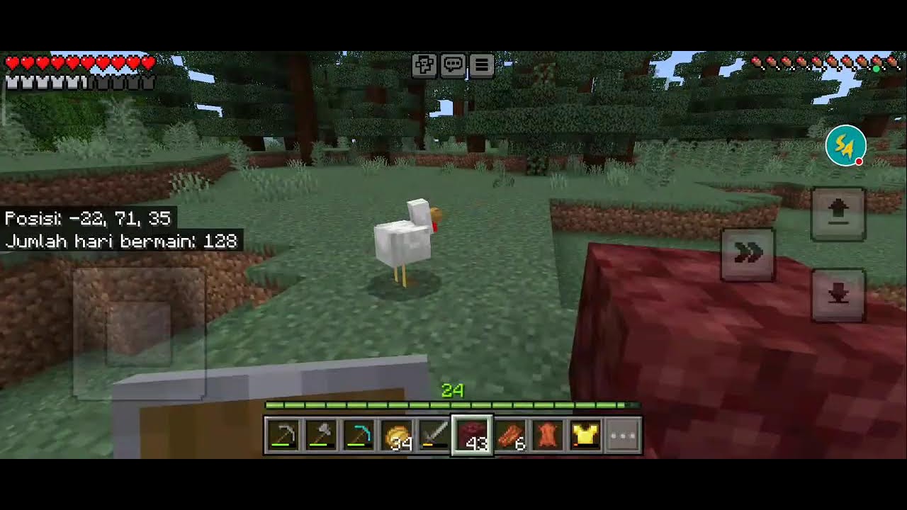 MINECRAFT # 13 - YouTube