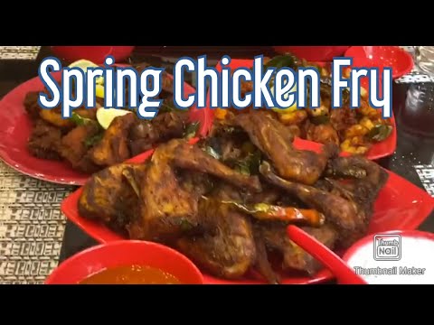 Chicken Fry 😋 Tasty and easy special spring Chicken Fry 😋 HIFZA'S WORLD ...