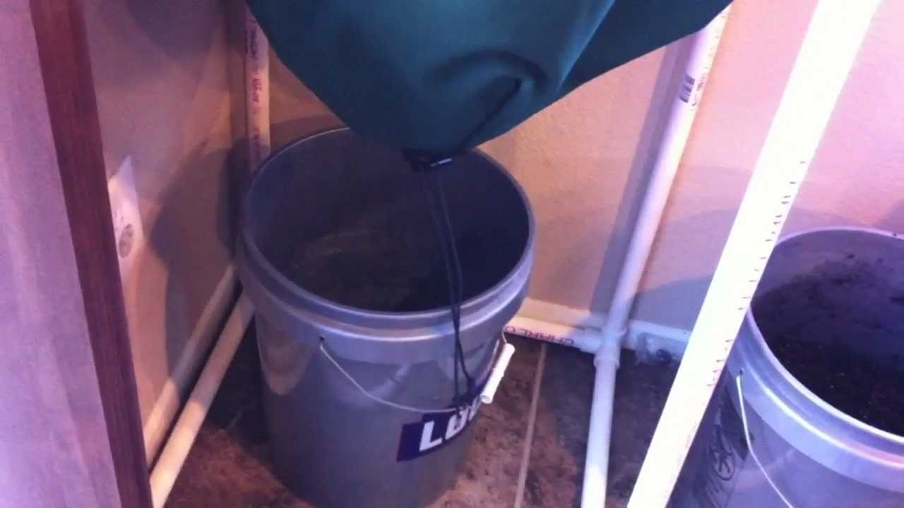 Setting Up My New Worm Inn Continuous Flow (Flow-Through) Vermicompost ...