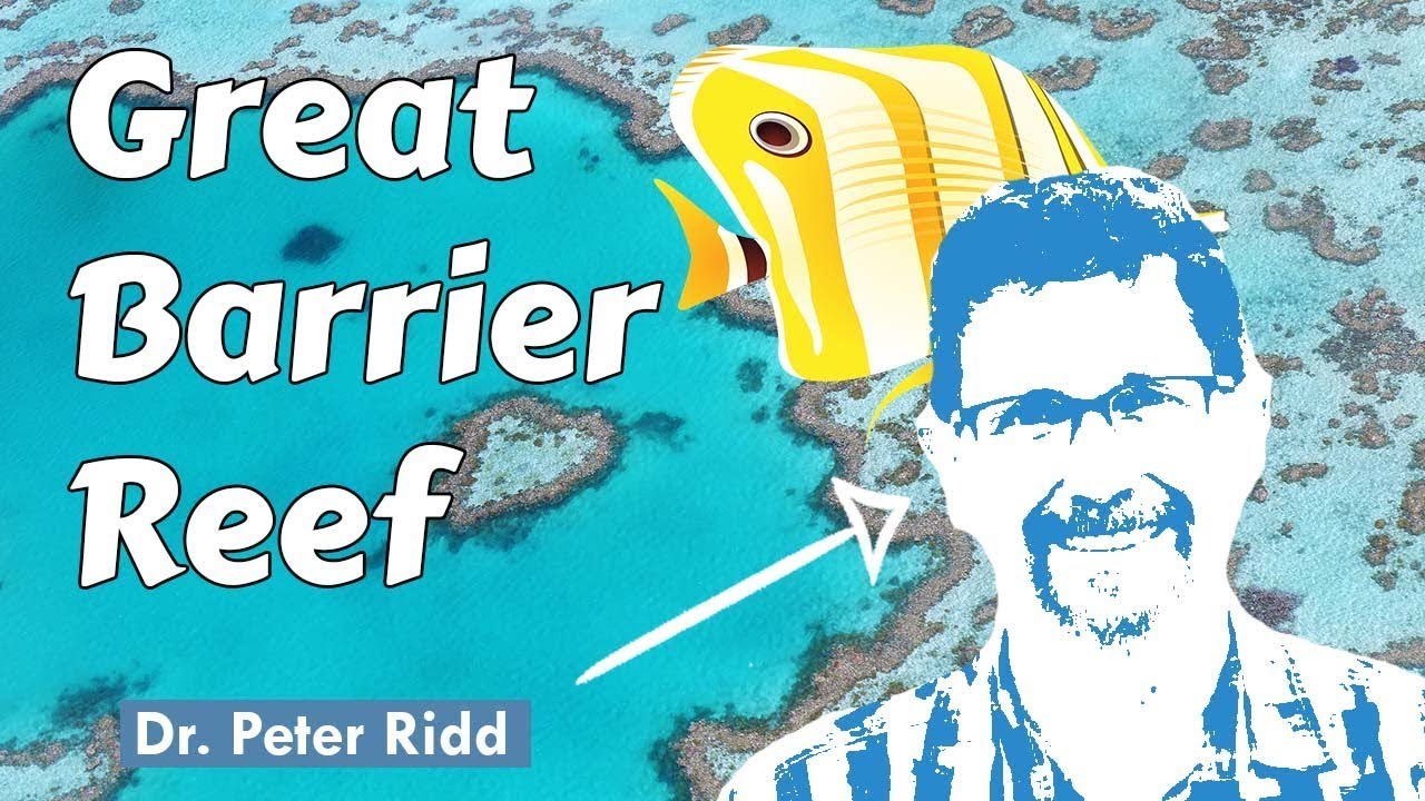 Peter Ridd - On the true state of the Great Barrier Reef - YouTube