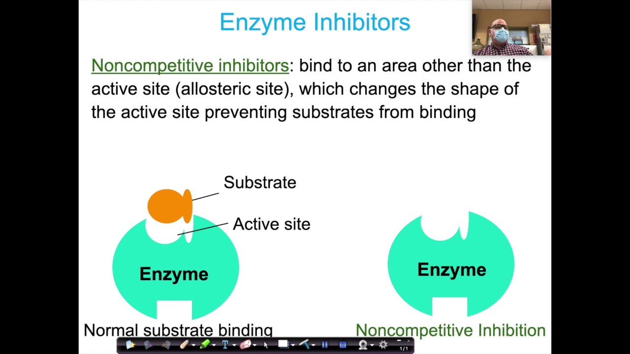 Ap Bio unit 3 part 3 - Enzyme environmental conditions and inhibitors ...