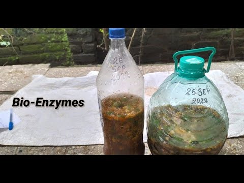 Bio - Enzymes ll Garbage Enzyme ll citrus Bio-Enzyme. - YouTube