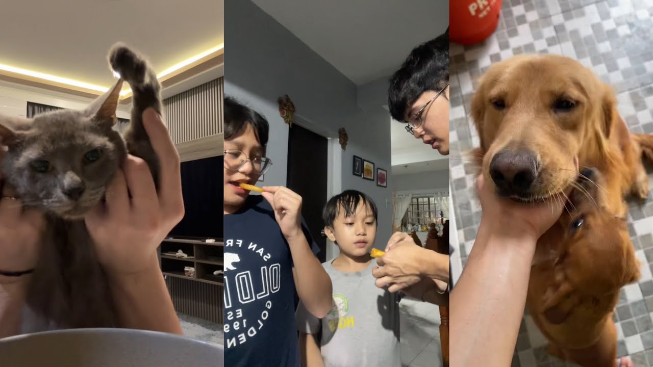 Mamamoblue compilation #1 - YouTube