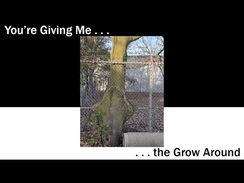 You're Giving Me the Grow Around - YouTube