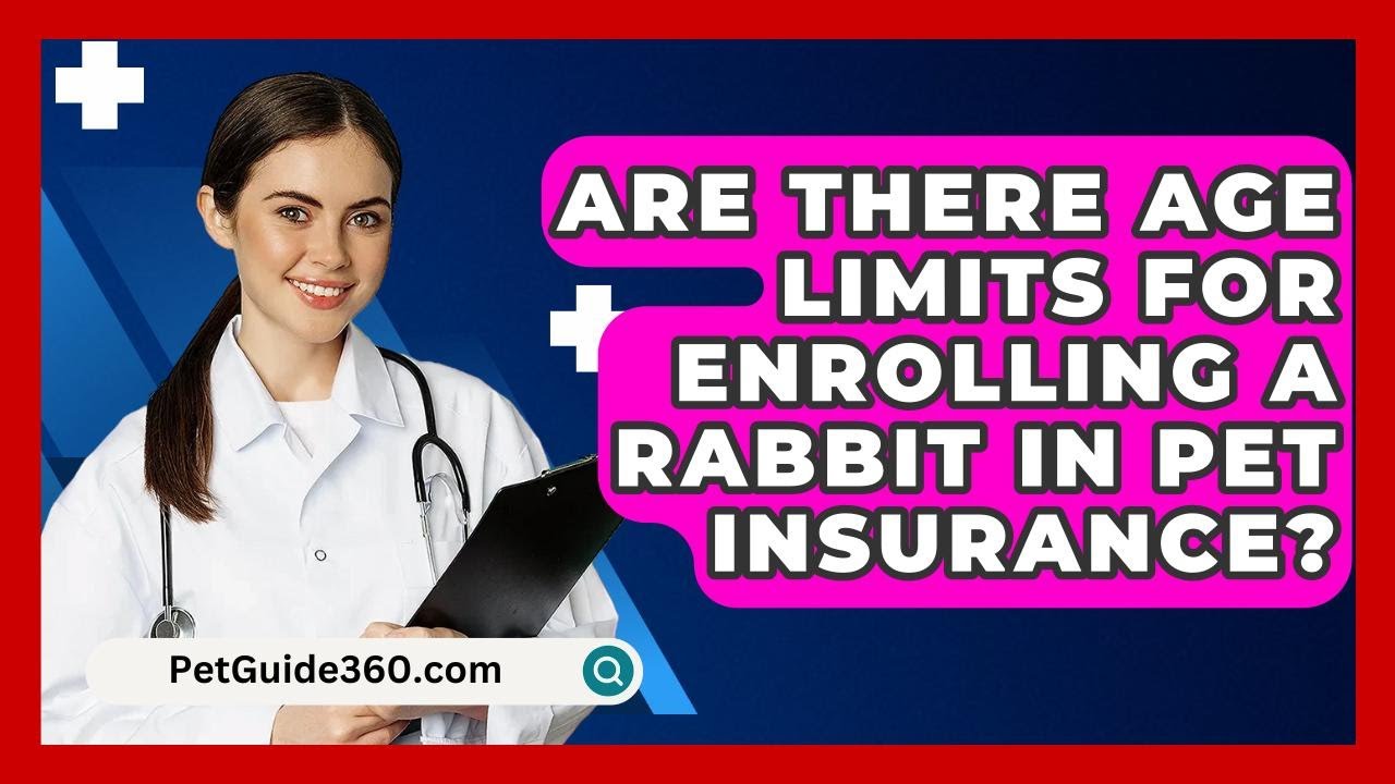 Are There Age Limits for Enrolling a Rabbit in Pet Insurance ...