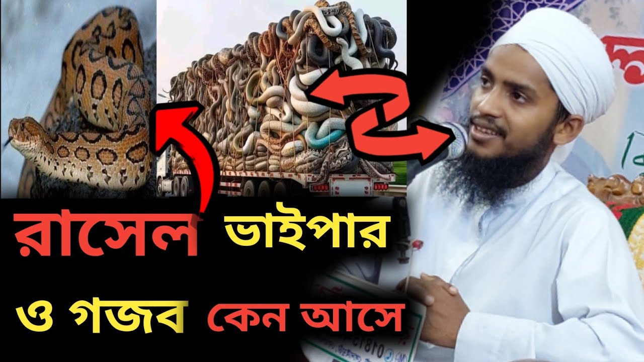 রাসেল ভাইপার ও গজব কেন আসে Mufti Mohammad Ullah Abbasi viral Rasel Vaifar viral video রাসেল ...
