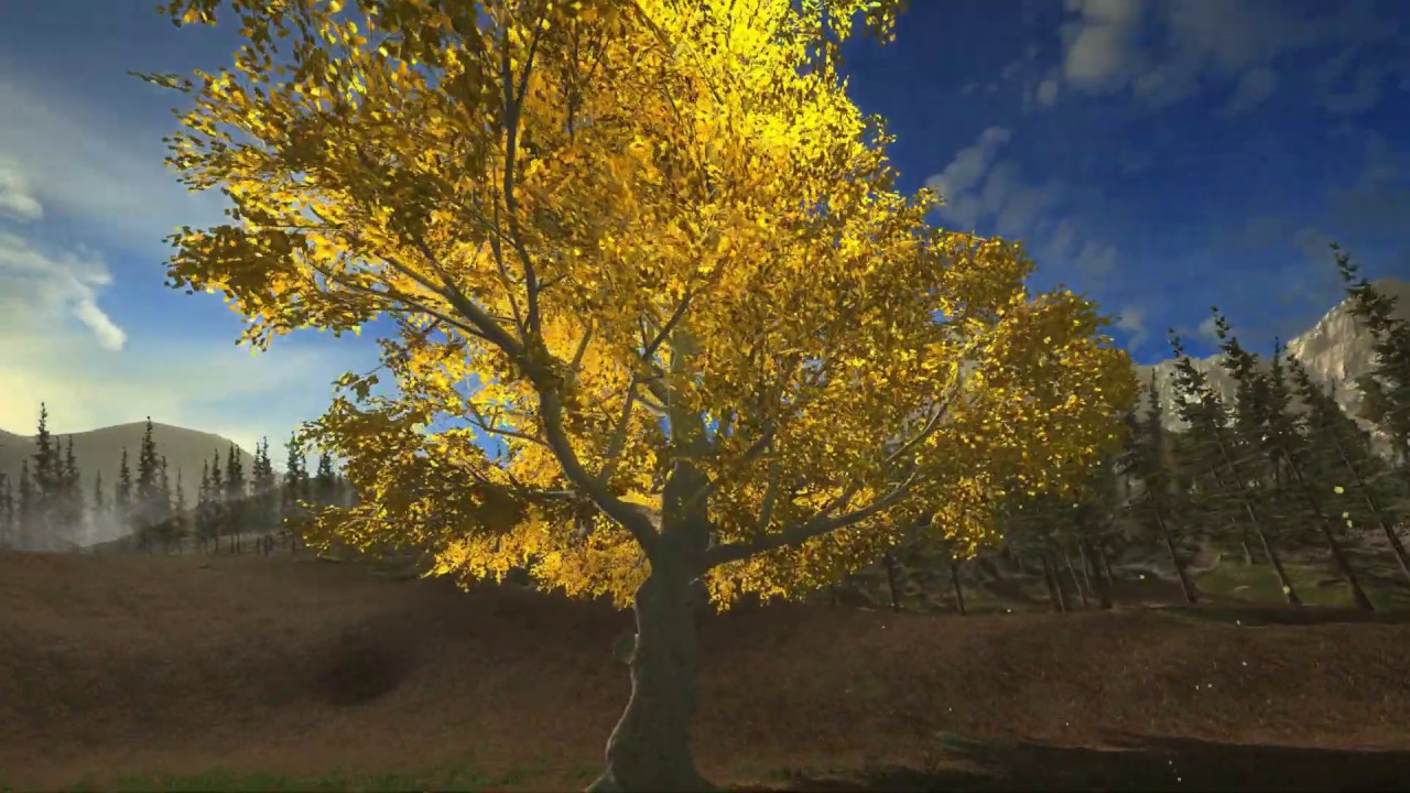 The First Tree - And what does the fox say? - YouTube