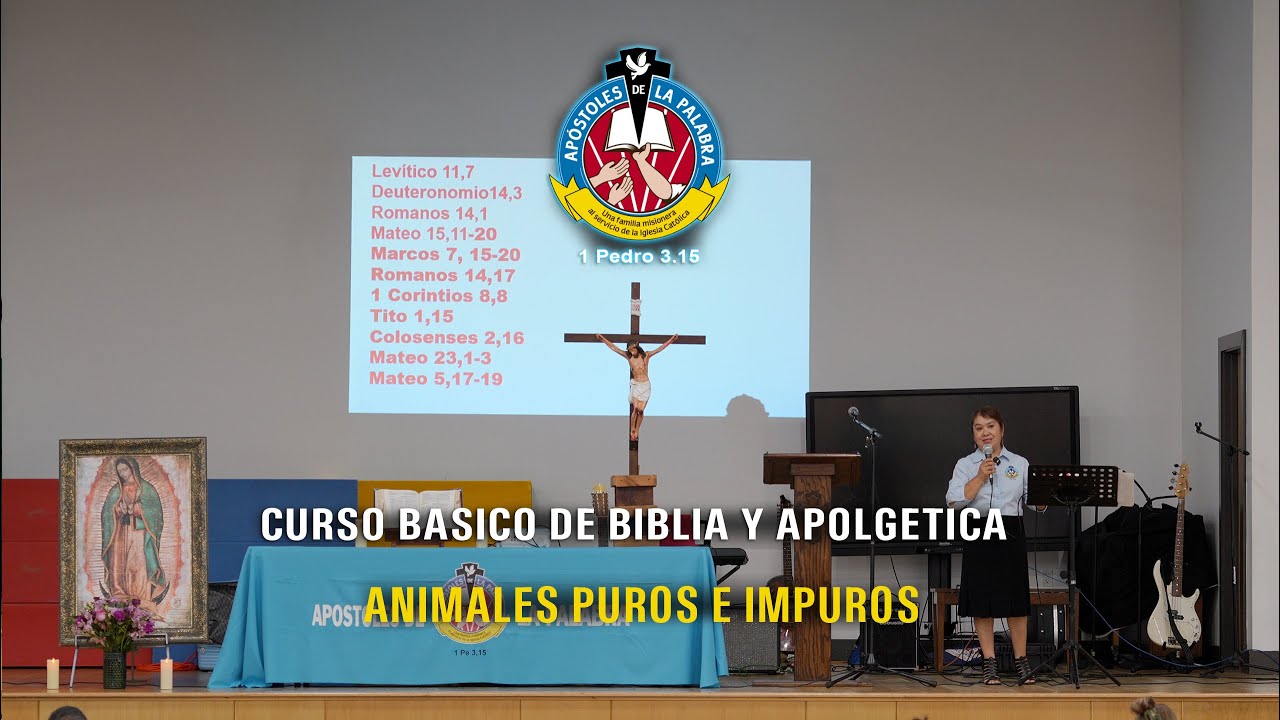 Animales Puros e Impuros (Curso de Biblia y Apologética) - YouTube
