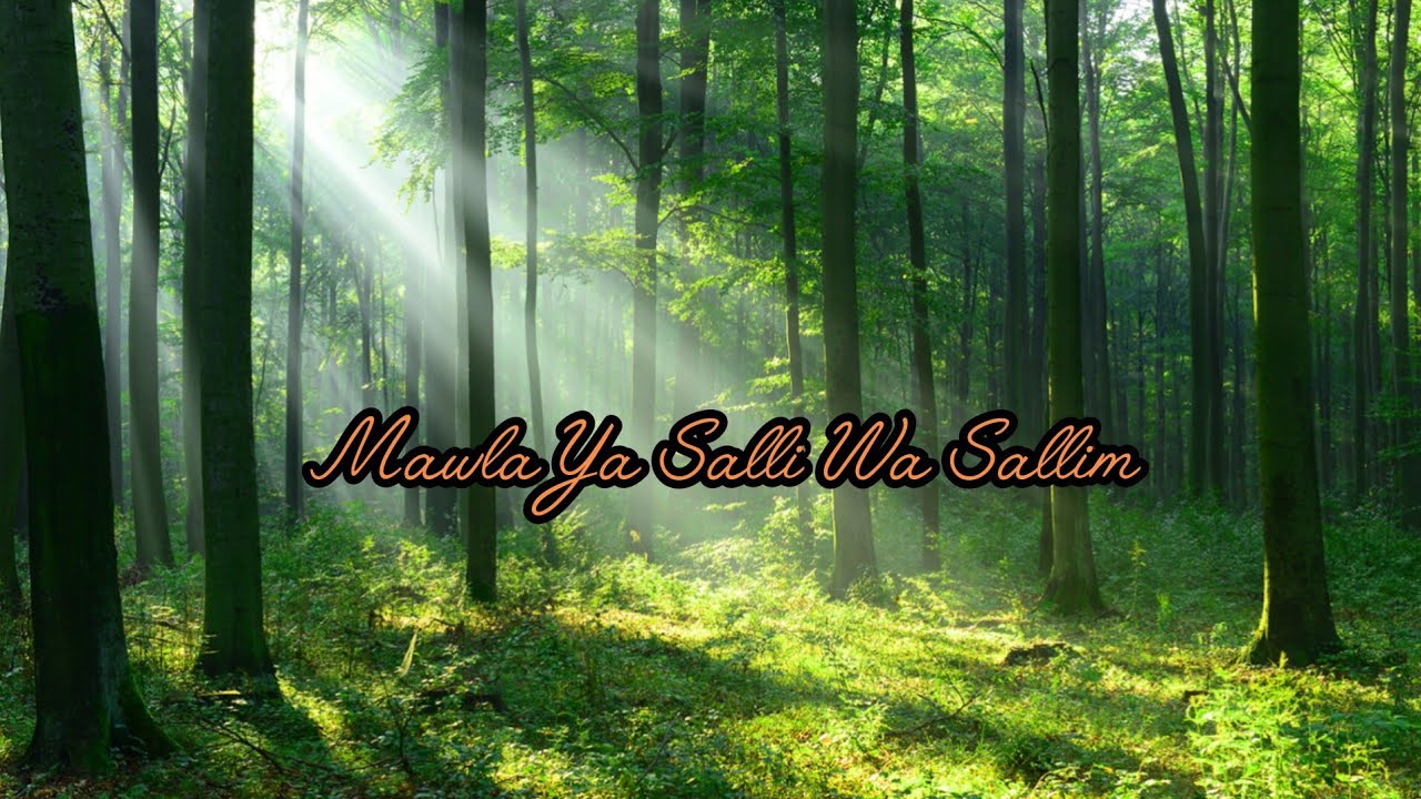 Mawla Ya Salli Wa Sallim l মাওলা ইয়া সাল্লি ওয়া সাল্লিম l#gojol # ...